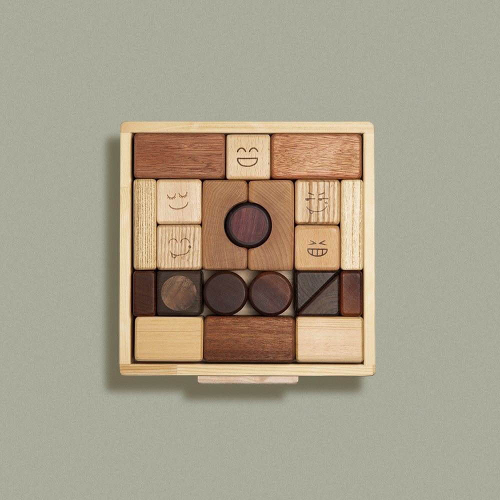 Infant Blocks 22P – dchoi09